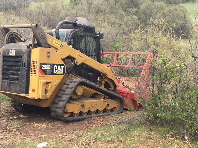 Scrub Oak Management in Sedalia, Removal and Pruning