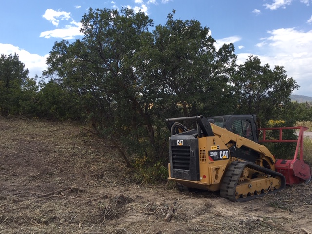 Brush Clearing in Black Forest (719)400-9104 Tree Service