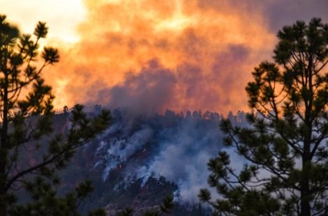 Wind During Wildfires