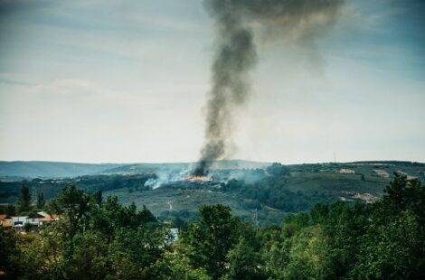 Defensible Space Canon City (719)400-9104