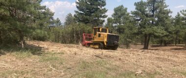 Professional Douglas County Fire Mitigation Company
